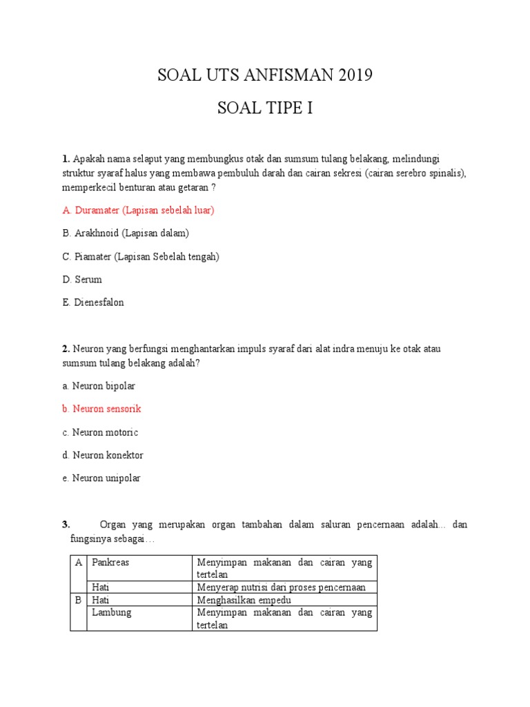 Pertanyaan UTS Type 1 | PDF