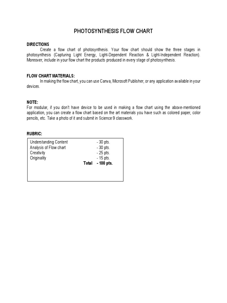 Photosynthesis Flow Chart: Directions | PDF
