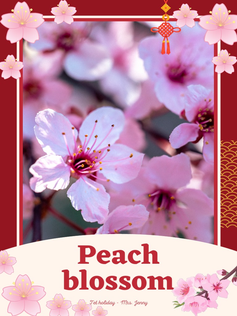 Tet Holiday Flashcards | PDF