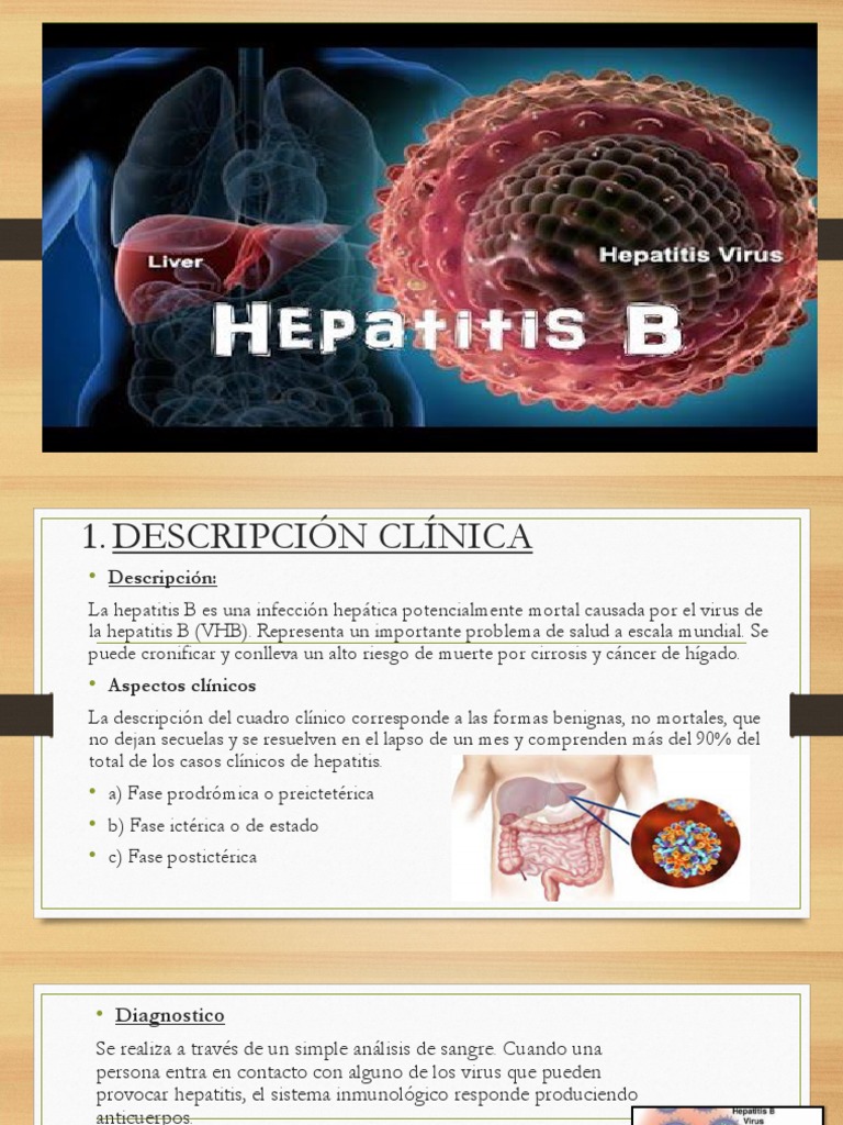 Hepatitis B | PDF | Hepatitis | Hepatitis B