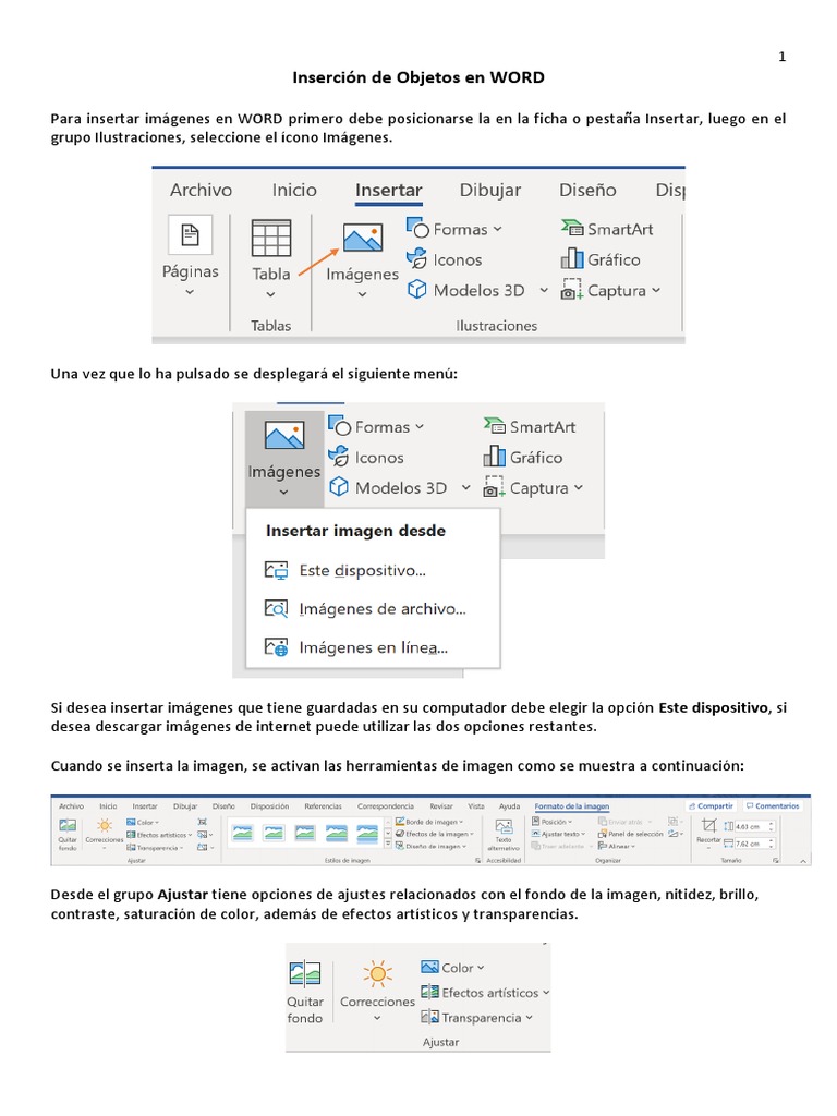 Insercion de Objetos en WORD | PDF | Color | Imagen