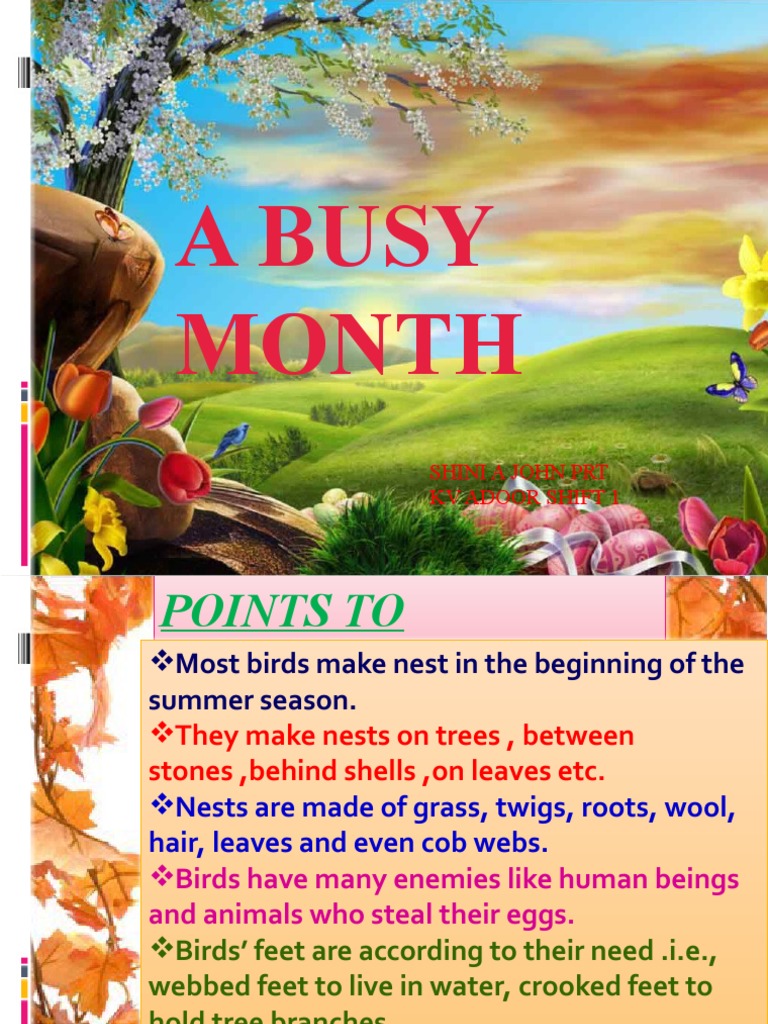 Busy Month | PDF | Birds | Nest
