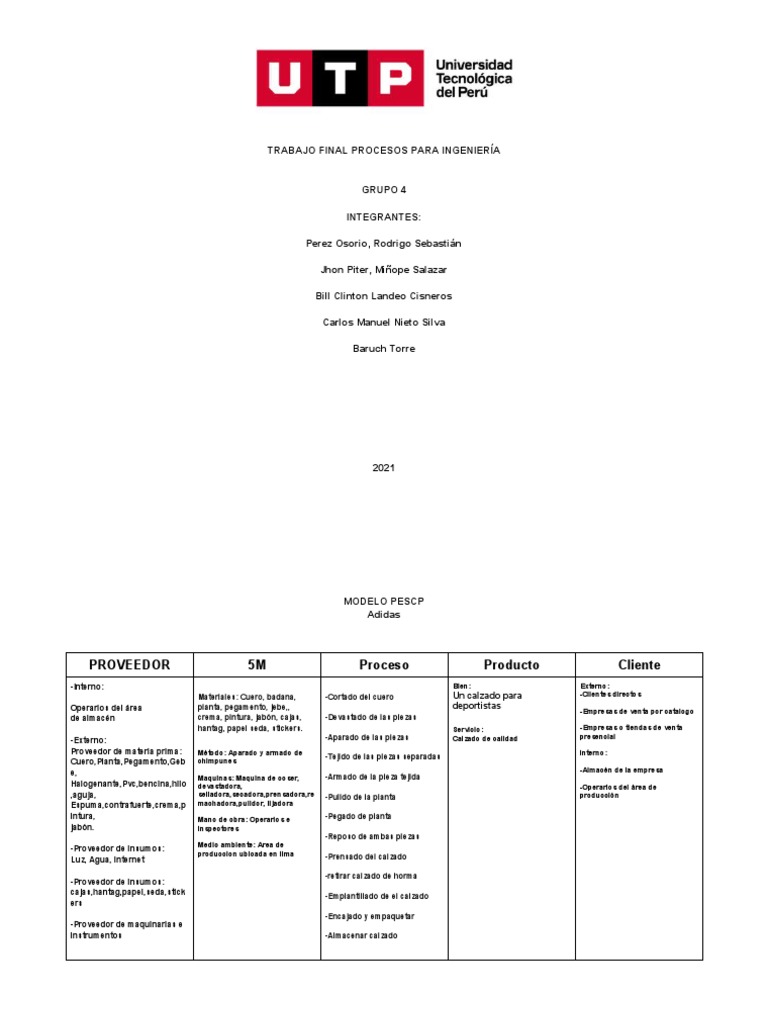 Avance 3 Procesos para Ingenieria Final | PDF | Calzado | Economias