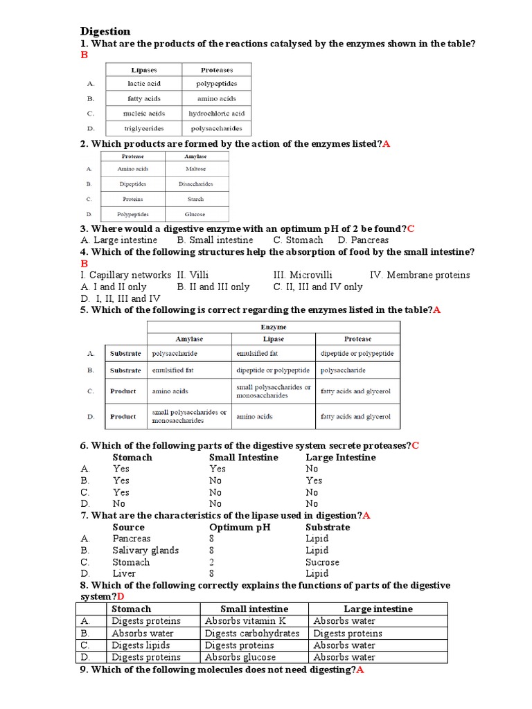 Digestion Test Biology | PDF | Digestion | Human Digestive System