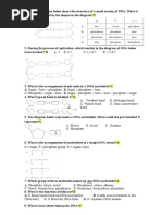 Answer Key - Genetic Packet | PDF | Dominance (Genetics) | Genotype