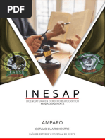 Formato AFIL-02 IMSS: Guía Completa | PDF