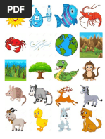 Animales Dosmesticos en Xinca | PDF | Cocina, comidas y vino