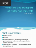 Lab Report - Phloem & Xylem | PDF | Plant Stem | Tissue (Biology)