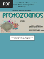 Ciclo Biologicos de Parasitos Metozoos | PDF