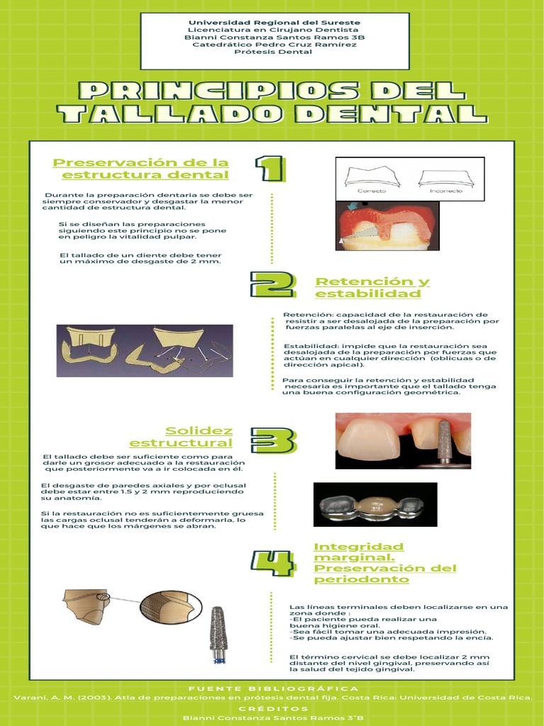 Principios Del Tallado Dental-2 | PDF | Dentadura postiza | Diente
