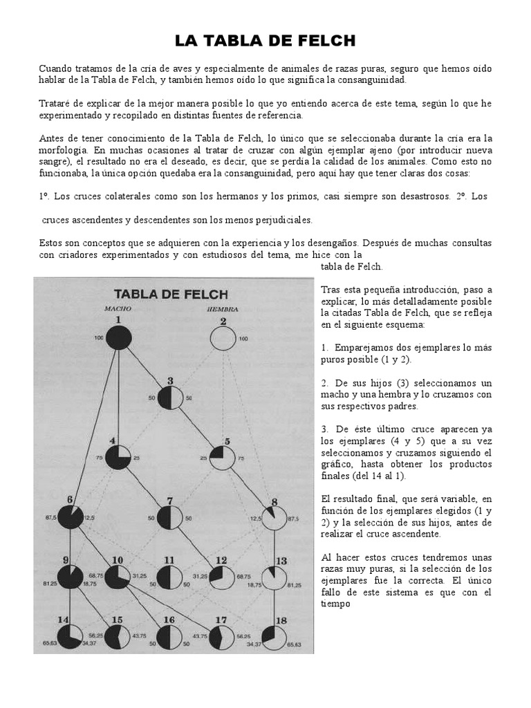 Tabla de Flech Canarios | PDF