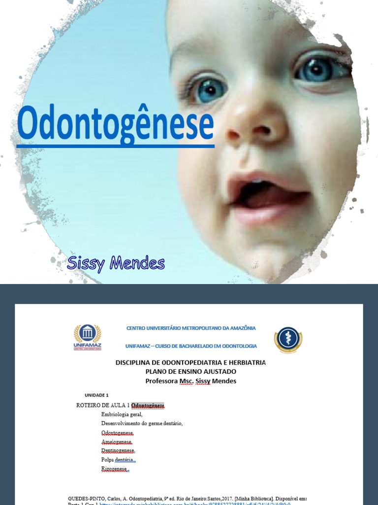 Aula 1 Odontogenese | PDF | Dente | Esmalte dentário
