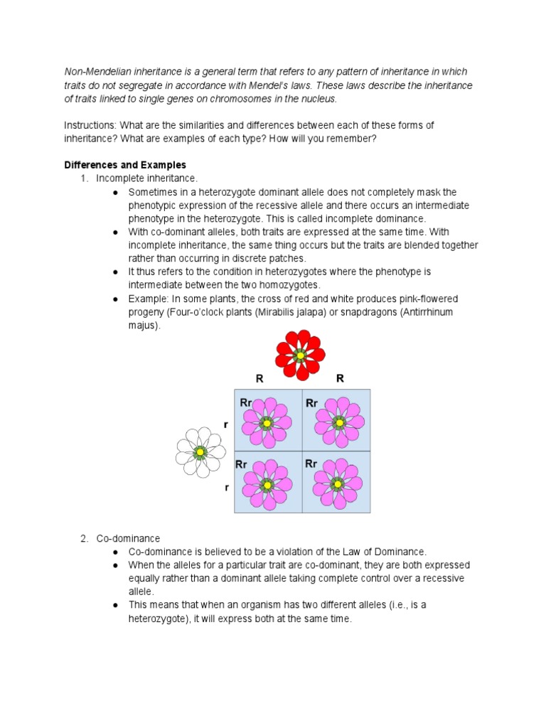 Differences and Examples | PDF | Dominance (Genetics) | Allele