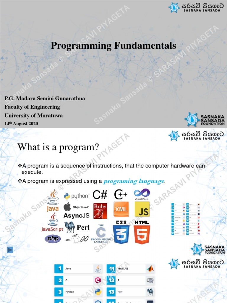 Programs and Programing | PDF | Scope (Computer Science) | Variable ...