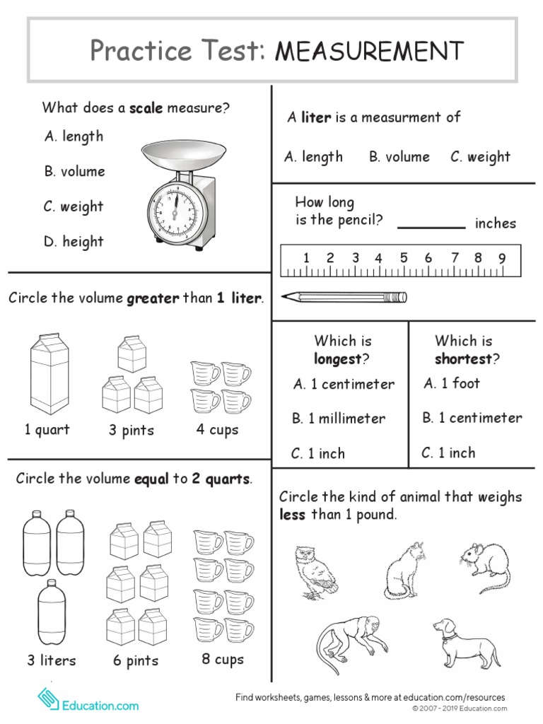Practice Test Measurement | PDF