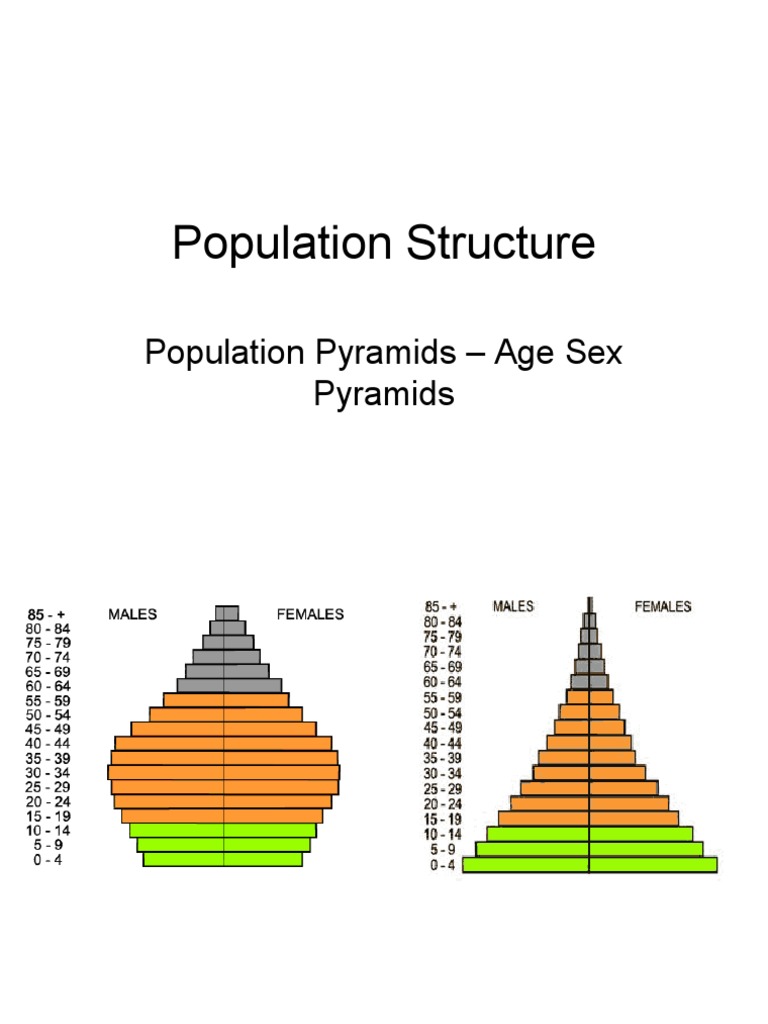 Population Structure: Population Pyramids - Age Sex Pyramids | PDF