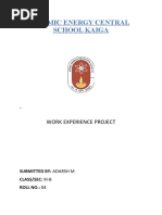Sewa Project Grade 10 (2024-25) | PDF | Learning | Career & Growth