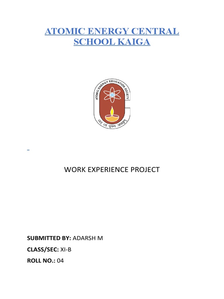 Work Experience Project (Updated) | PDF | Learning | Cognition