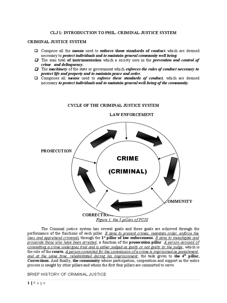 PCJS Handout 2021 | PDF | Prosecutor | Plea
