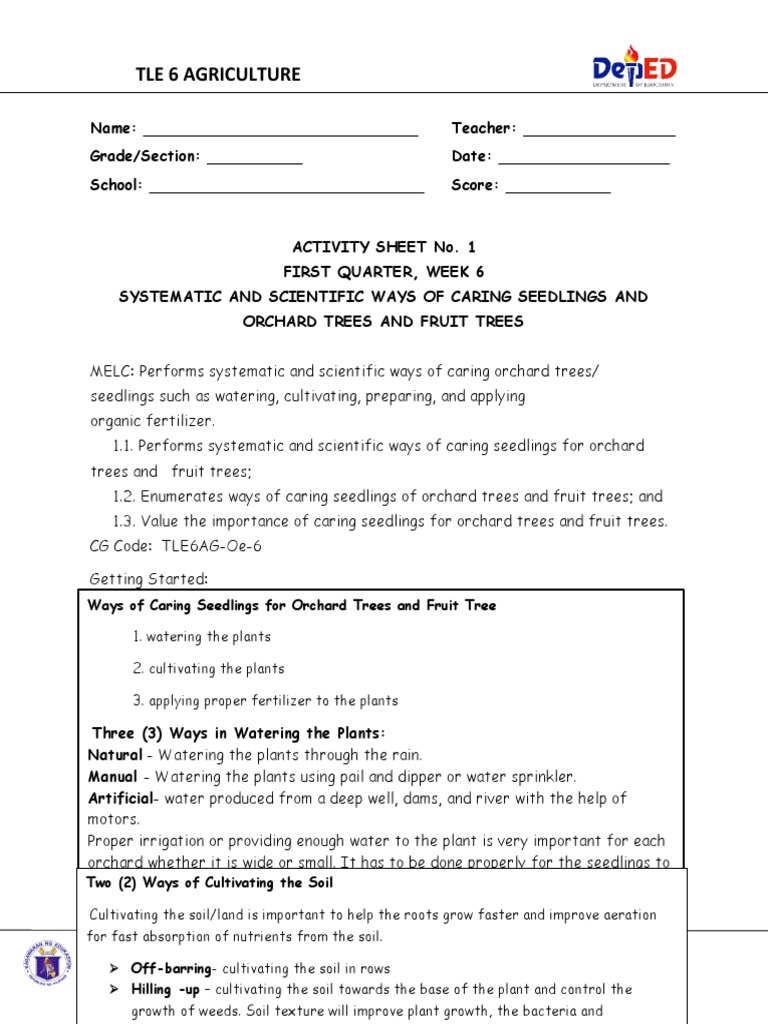 Tle 6 Agriculture: Ways of Caring Seedlings For Orchard Trees and Fruit ...