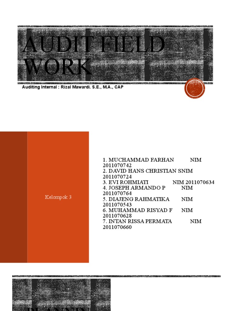 Kel 3 - Audit Field Work | PDF