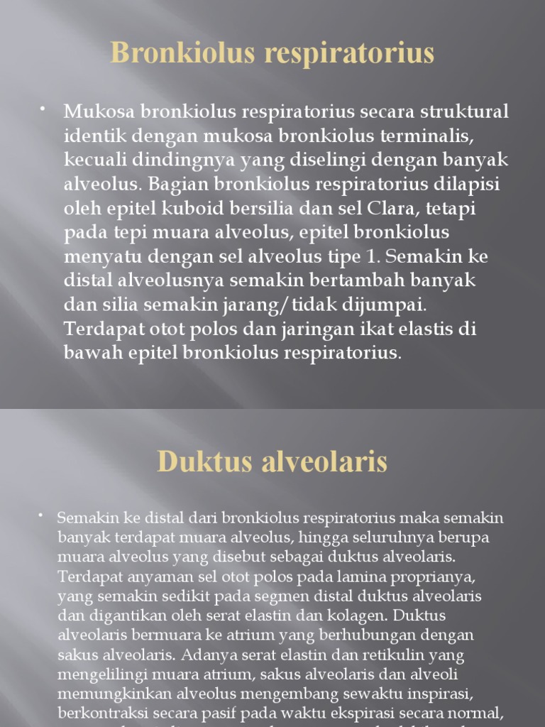 Bronkiolus Respiratorius | PDF