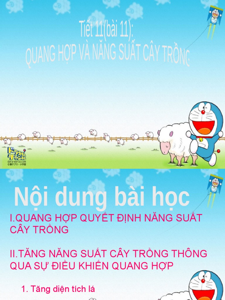 Bai 11 Quang Hop Va Nang Suat Cay Trong | PDF