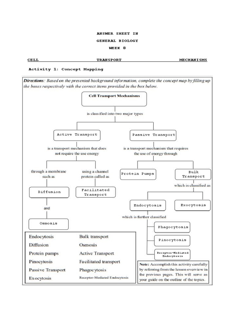 Answer Sheet in General Biology Week 8 Cell Transport Mechanisms ...