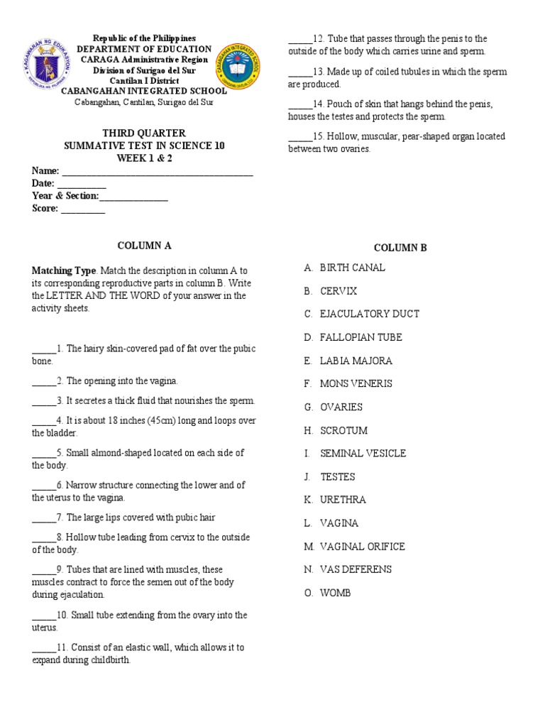 Grade 10 Science Third Quarter Test | PDF | Evolution | Vagina