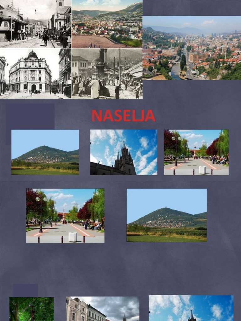 Moja Okolina - 1.12.2020. | PDF