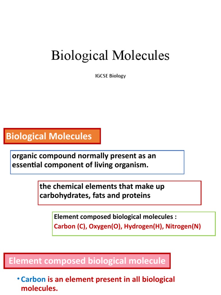 Biological Molecules Igcse | PDF | Nucleic Acids | Glucose