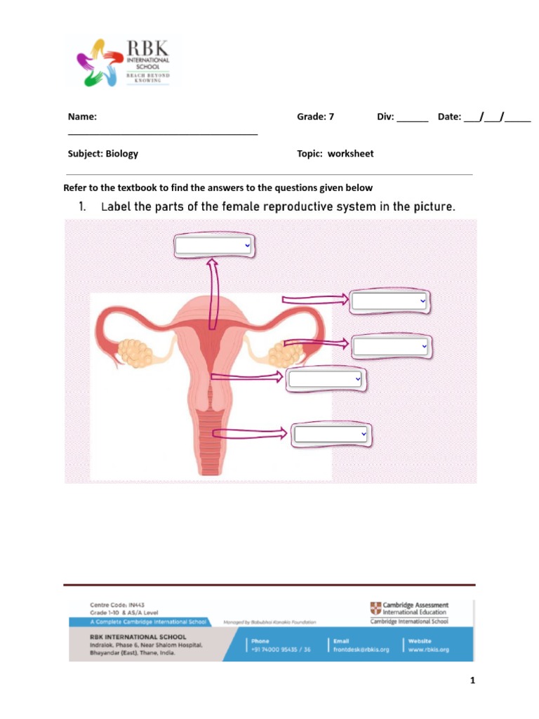 Grade 7 Revision Worksheet Reproduction | PDF | Self-Improvement