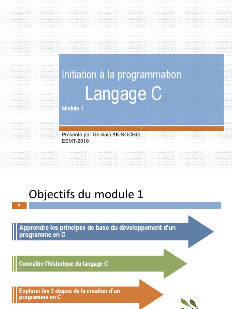 Langage C-Module-1-18 | PDF | C (Langage de programmation) | Structure ...