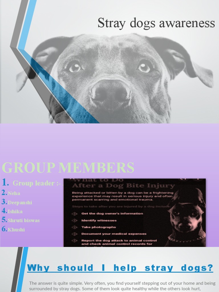 Stray Dogs Awareness Presentation | PDF | Domesticated Animals ...