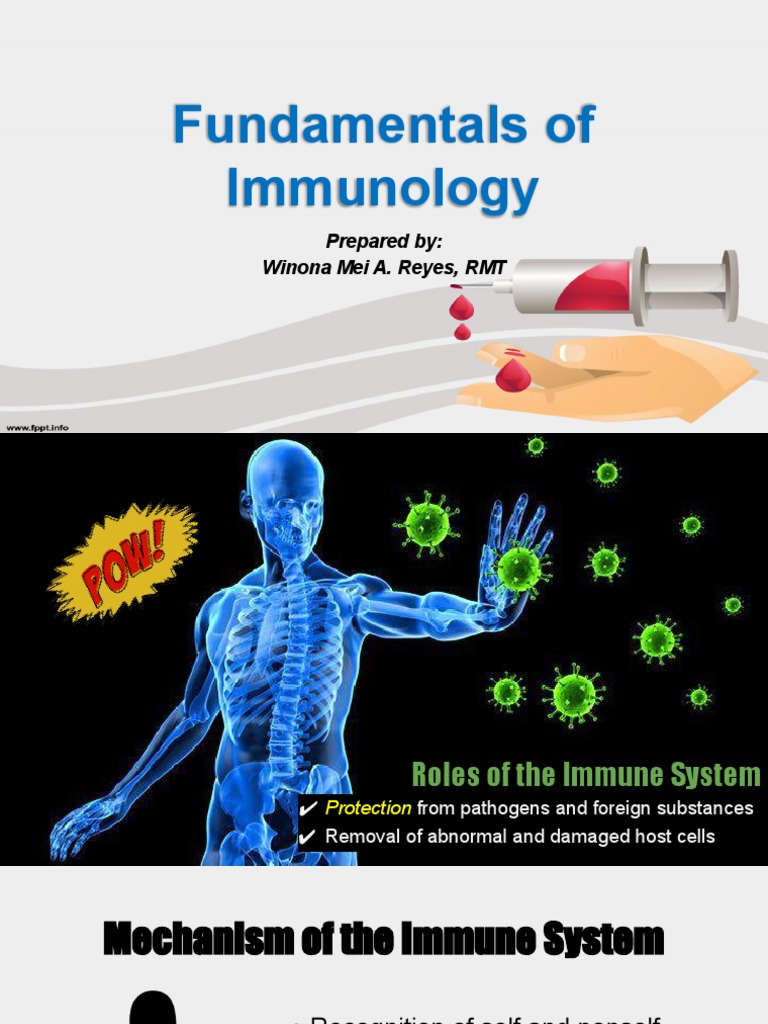 Fundamentals of Immunology: Prepared By: Winona Mei A. Reyes, RMT | PDF ...