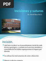 Incisión de Pfannenstiel: Técnica y Aplicaciones | PDF | Pelvis | Vagina