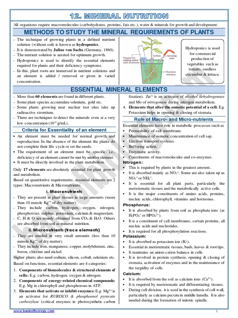 12 Mineral Nutrition-Notes | PDF | Nutrients | Metabolism