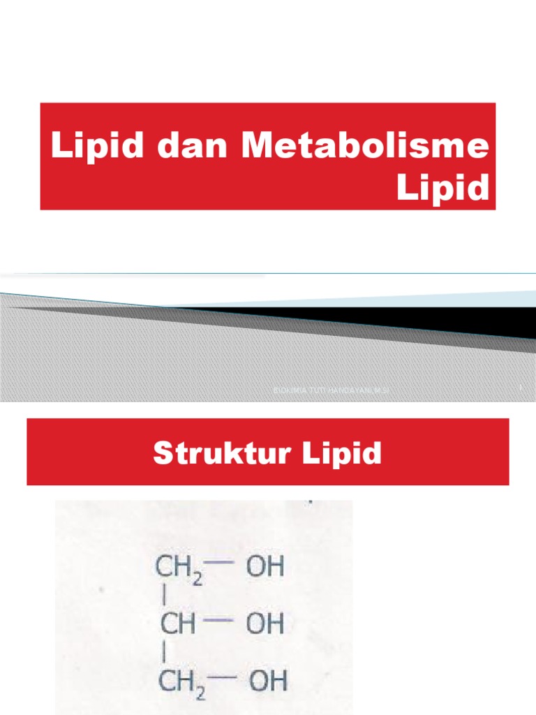 Lipid | PDF