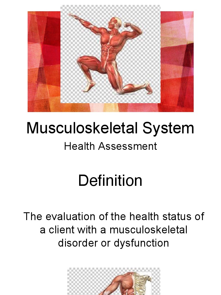 Musculoskeletal System Health Assessment: Evaluating Posture, Gait ...