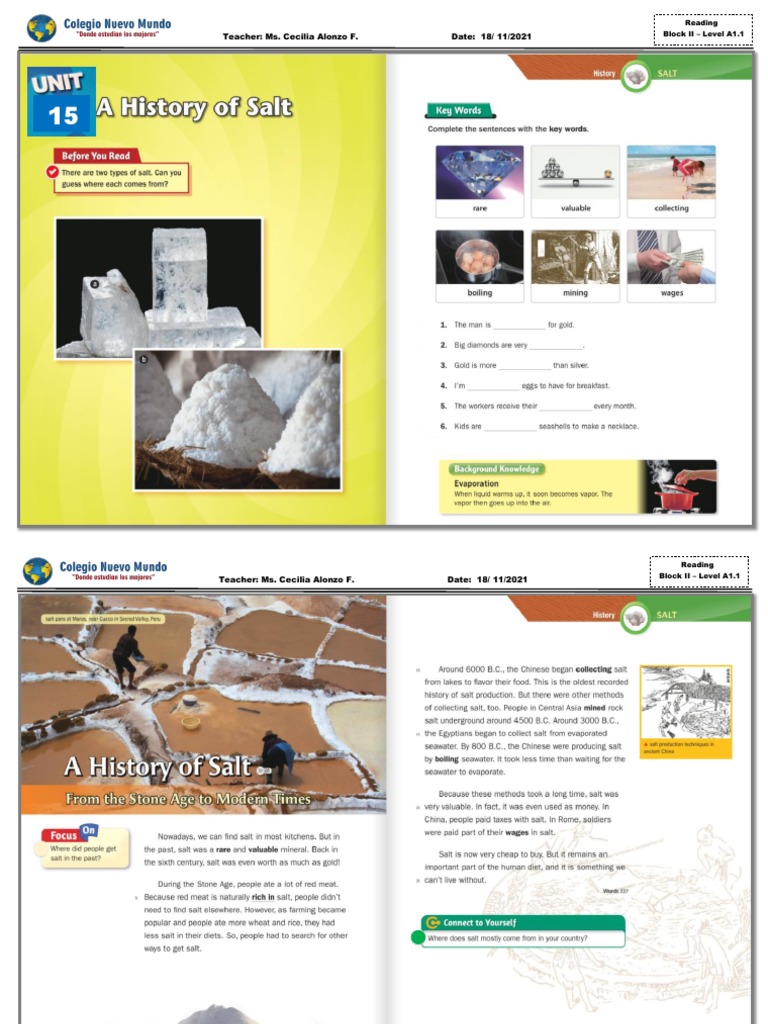 A History of Salt | PDF