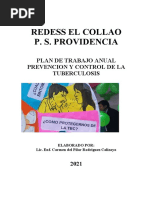 Contactos Programas - DGVS | PDF