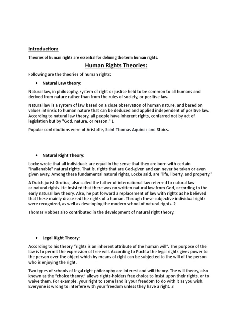 Theories of Human Rights | PDF