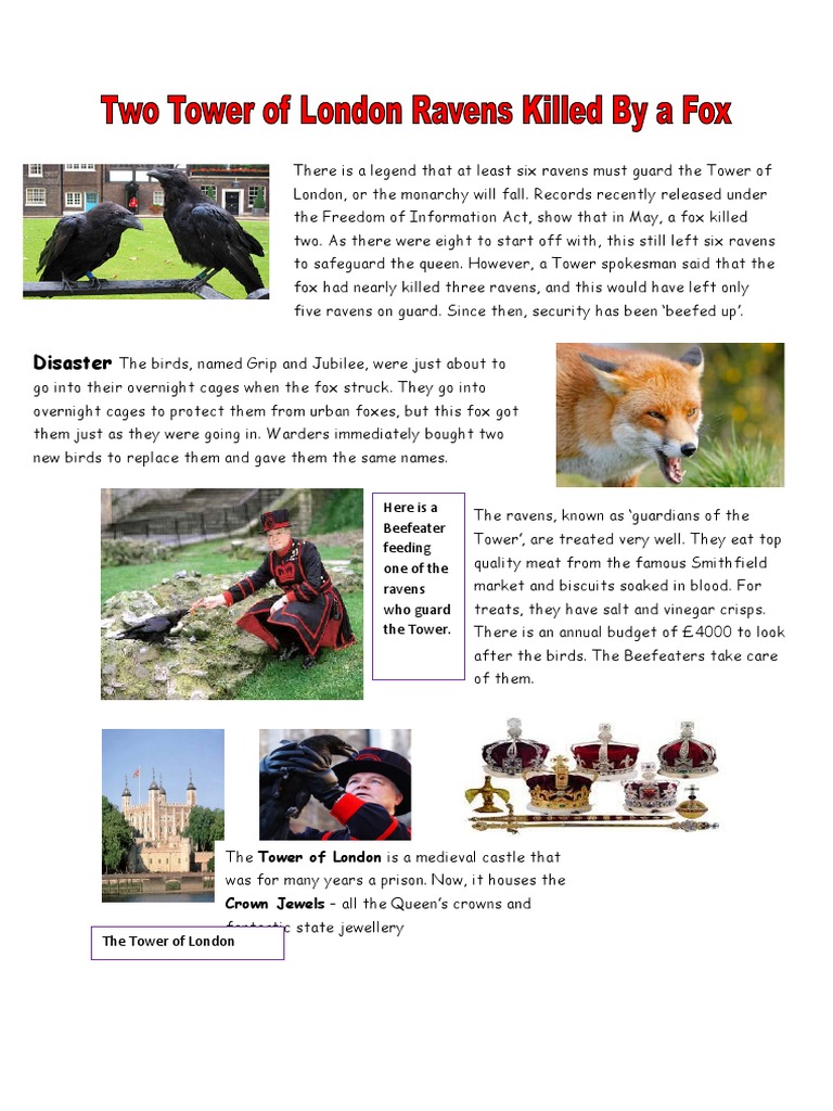 Newspaper Report Adapted With Exercises Reading Comprehension Exercises ...