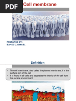 Specialised Animal Cells - Living Organisms - KS3 Biology - BBC ...