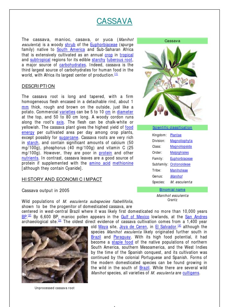 Cassava Characteristics - Ibwebsite (English) | PDF | Foods | Food And ...