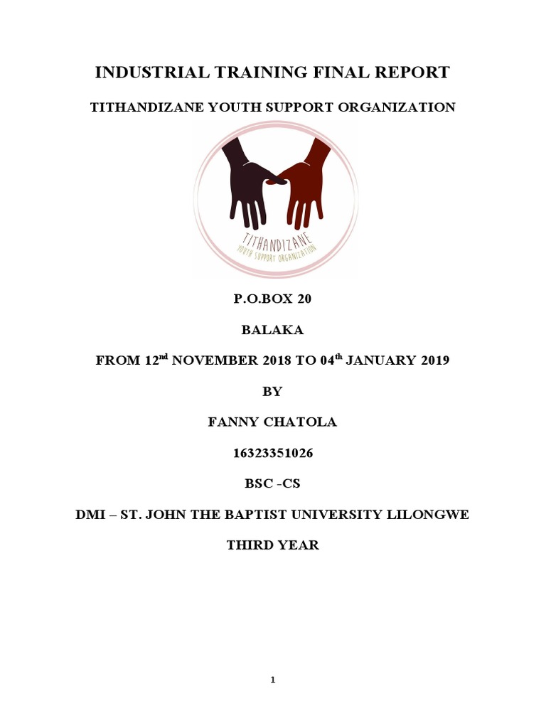 Industrial Training Final Report: Tithandizane Youth Support ...