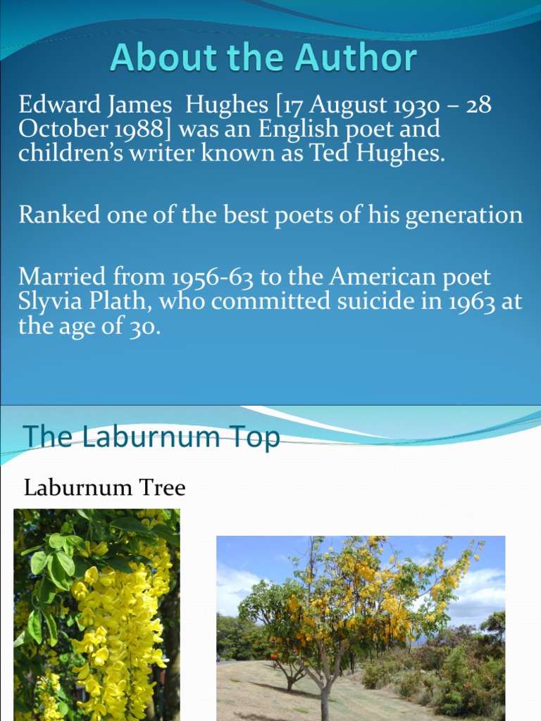 Ted Hughes: Poet, Husband of Sylvia Plath, and Author of "The Laburnum ...