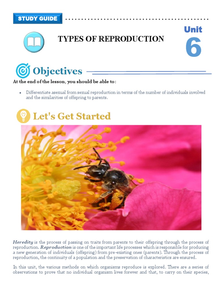 Science 7 UNIT 6 & 7 Study Guide | PDF | Sexual Reproduction | Reproduction