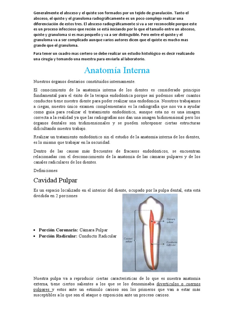 Anatomia Interna | PDF | Anatomía | Ramas de Odontología