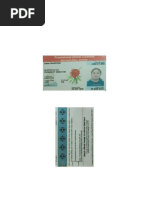 A Guide To Understanding The Online Provisional Permit System | PDF | Driver's License